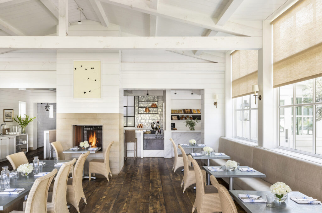 Spotlight: Tiny Boxwoods - Guide 2 Austin