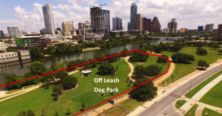 Guide to the Best Dog Parks in Austin - Guide 2 Austin