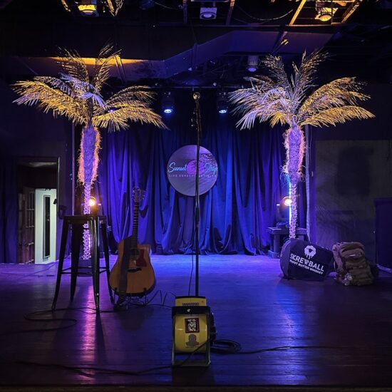 Guide to the Best Spots for Live Comedy Shows in Austin - Guide 2 Austin